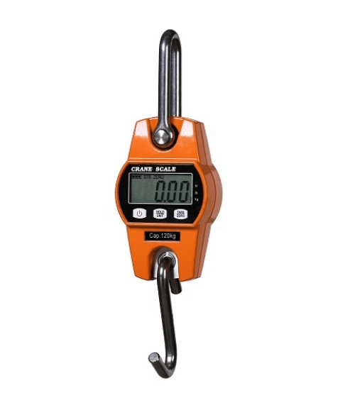 INSTRUMENT CHOICE CR Digital Crane Scale - STW Industrial & Safety